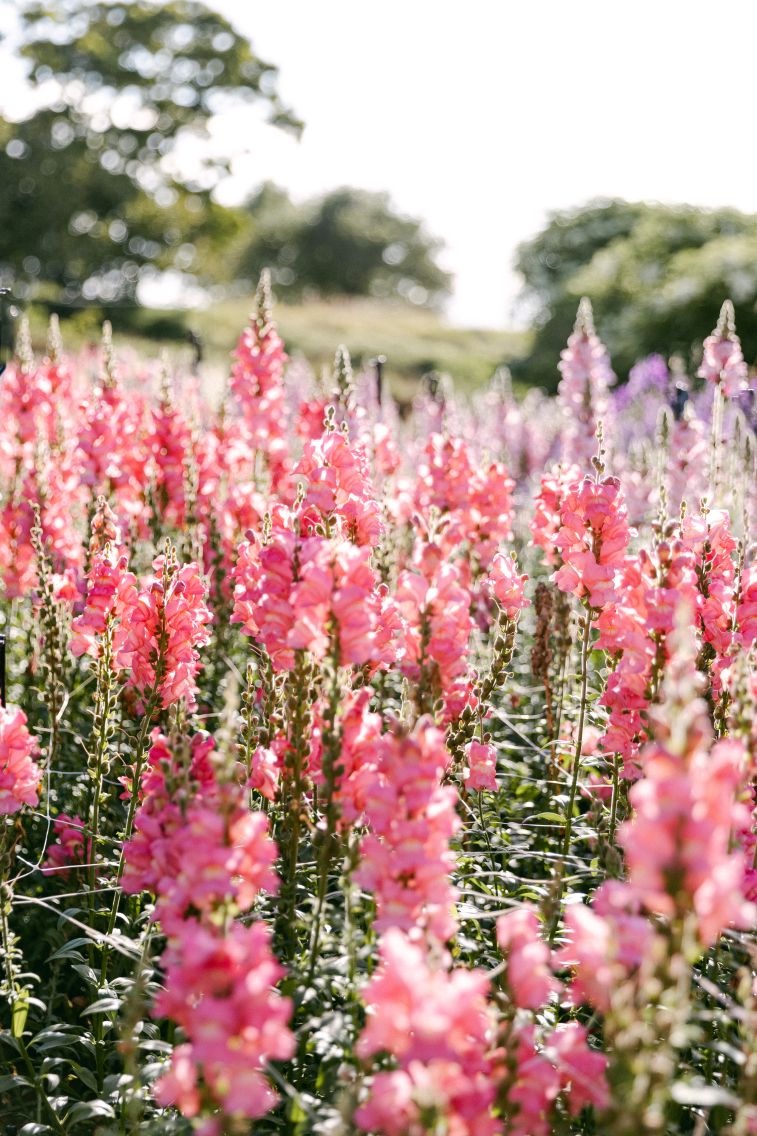 Alanna O'Neil – From Fashion to Photography, Cultivating Intuition, and ...