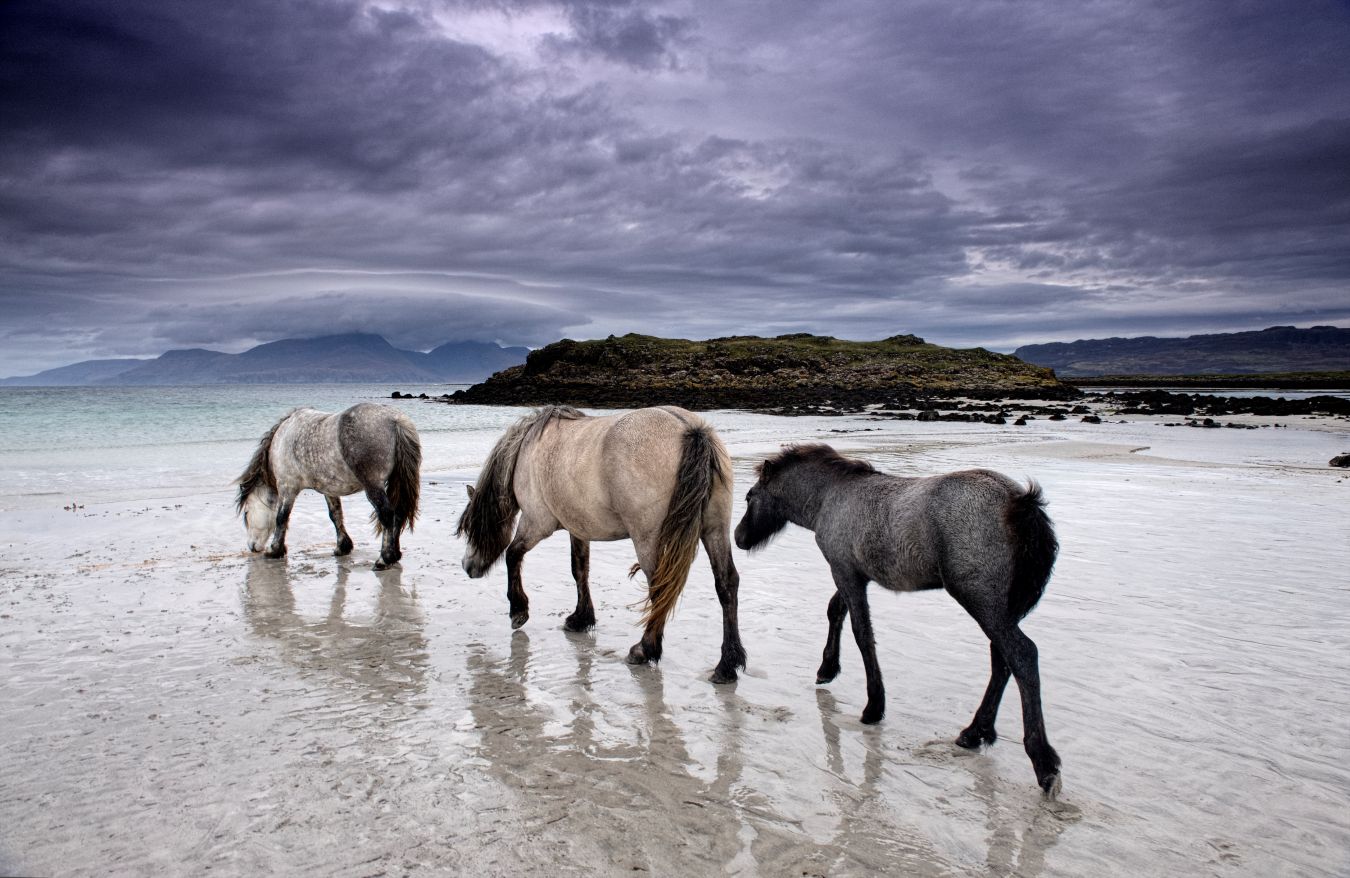 Jim Richardson – Capturing the Planet Through Environmental and ...