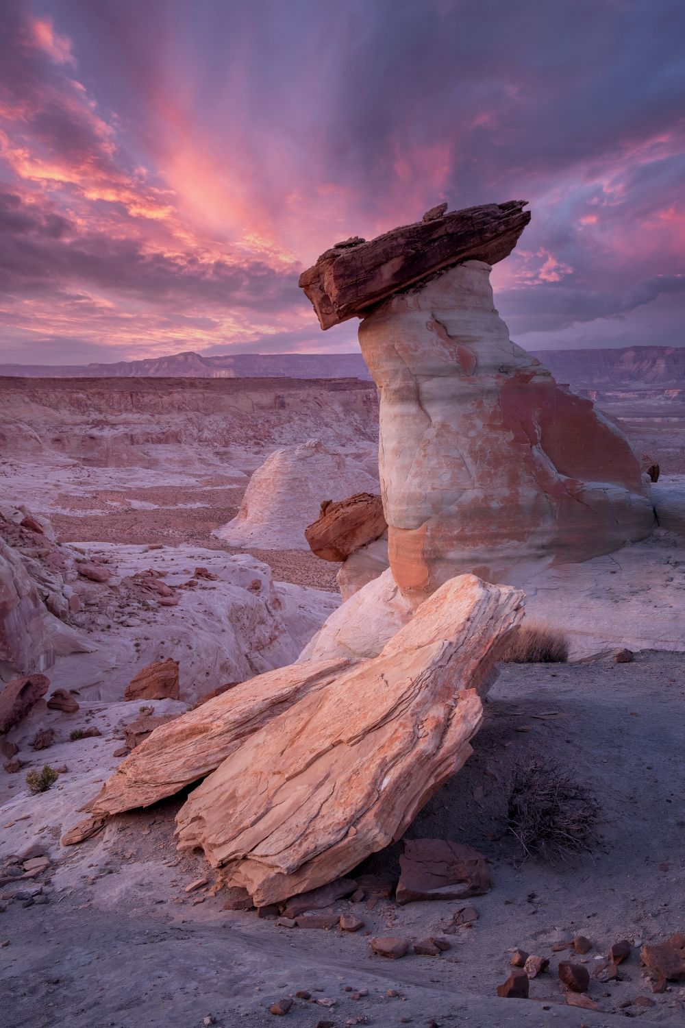 Casey McCallister – Hunting Nature’s Raw Energy through Mountains and ...